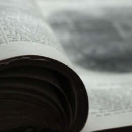 A Quick Guide to Bekker Numbers | Knowadays